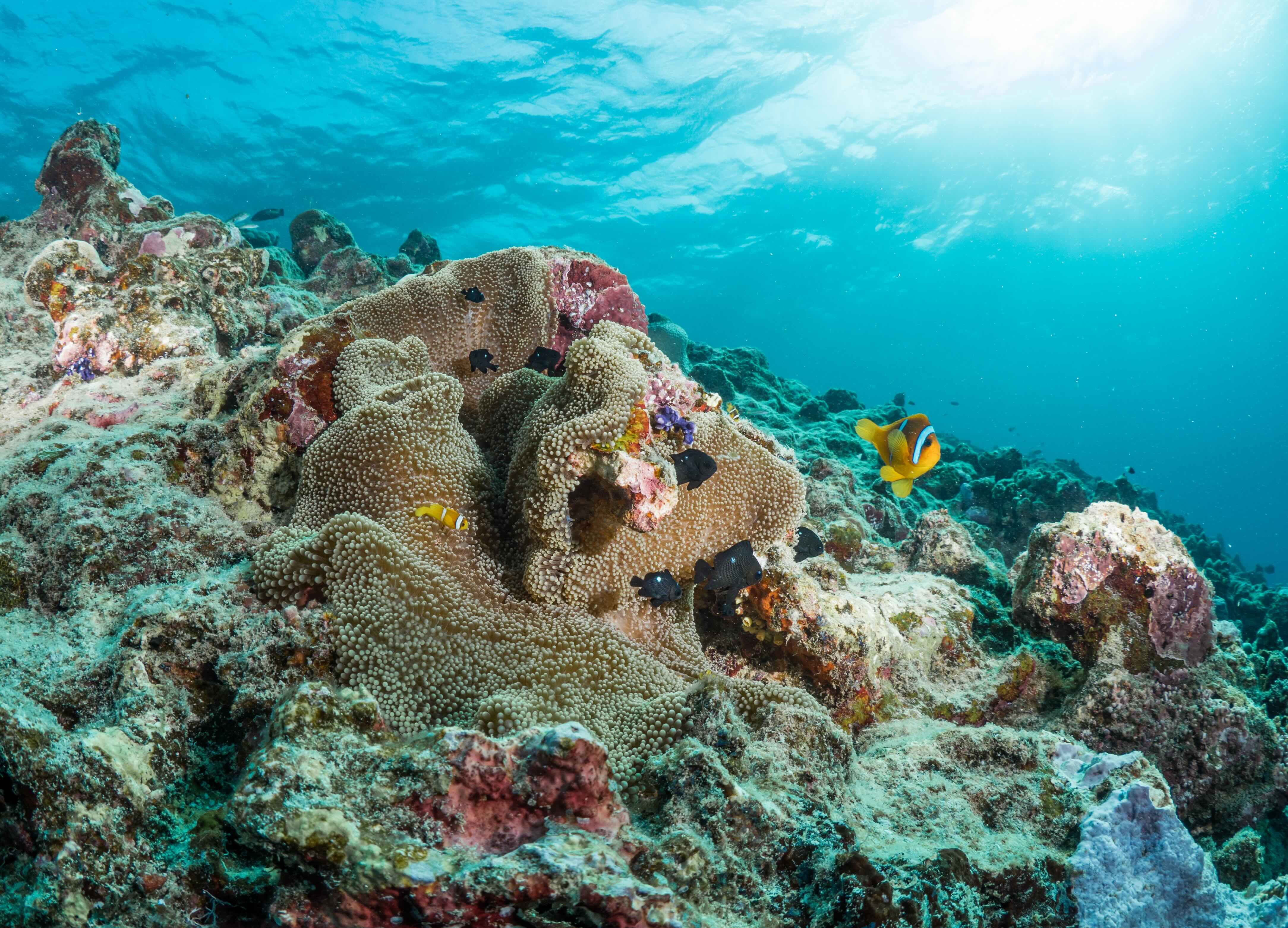 Thuwal - Private Retreat